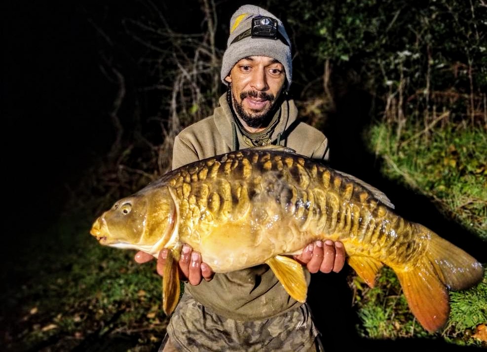 Park lake scaley | Total Carp